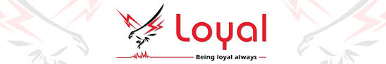 Job - Human Resource Manager job at Loyal Group Company Limited